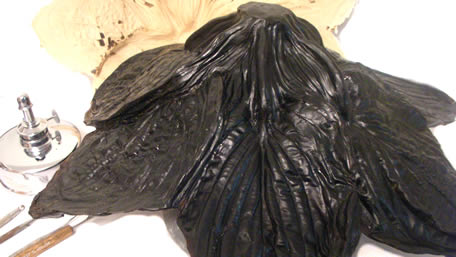 The wax thing, part II – Morganica