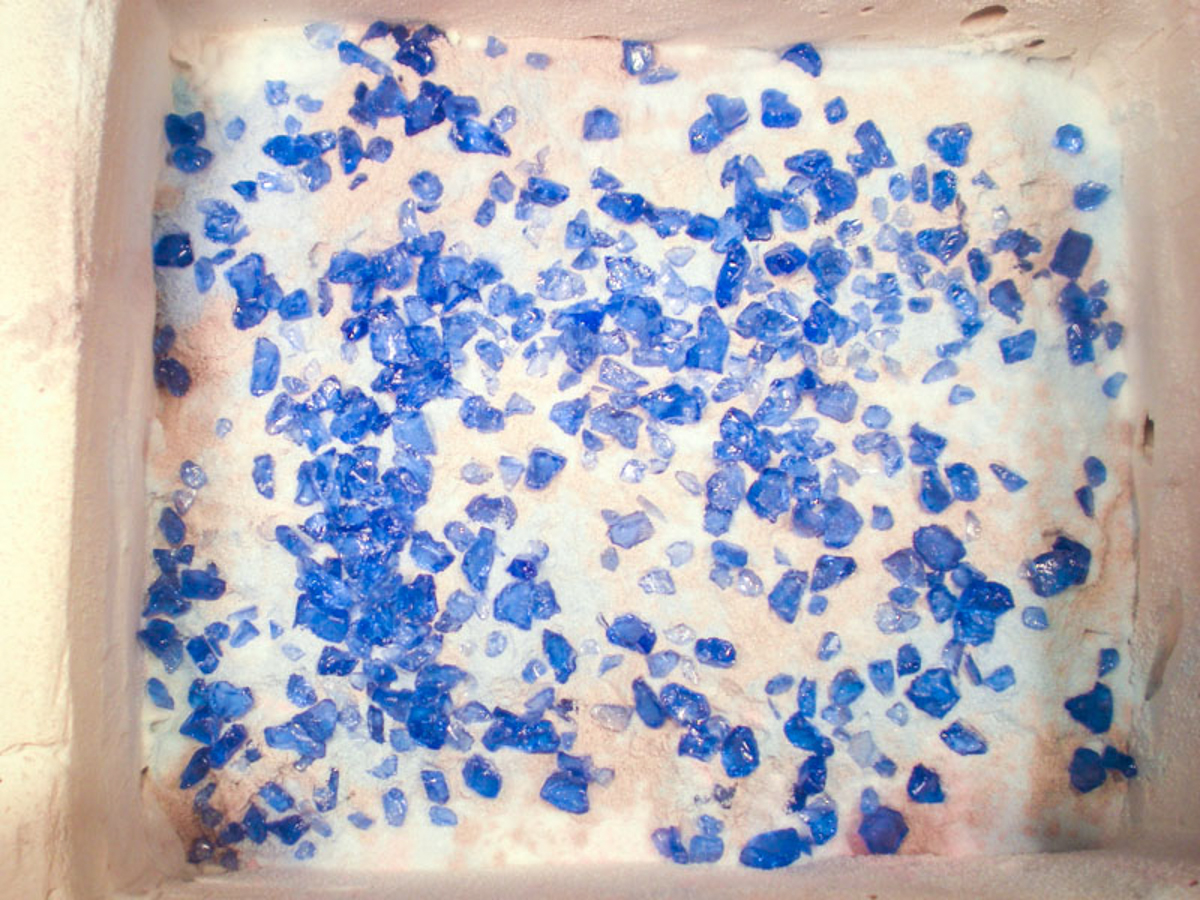 garden-mottledeffect – Morganica